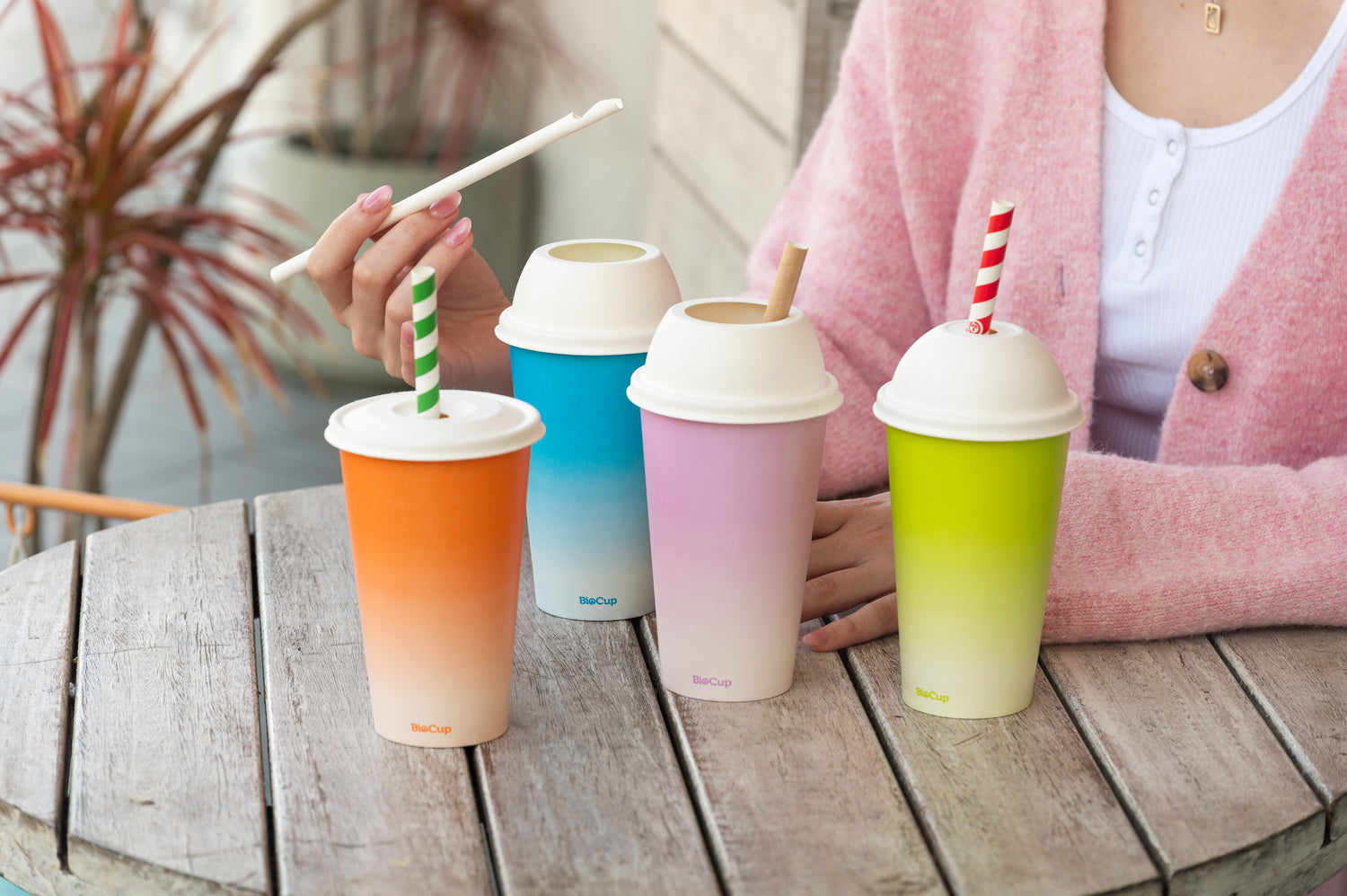 Eco‑Friendly Food Packaging & Compostable Cups | Goodies Distribution